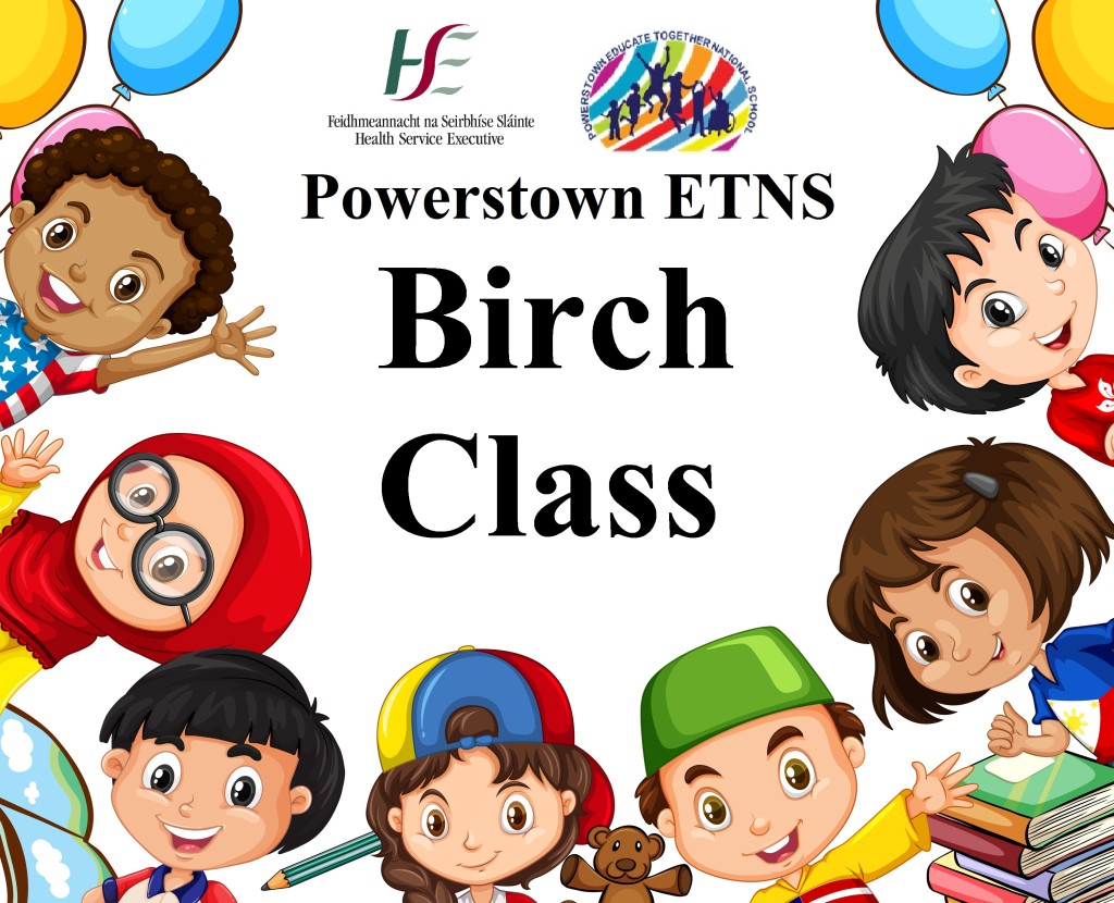 Birch Class (SSLD) – Powerstown Educate Together National School ...